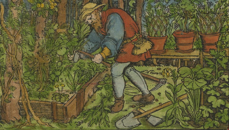 Introduction to Garden History - The Gardens Trust